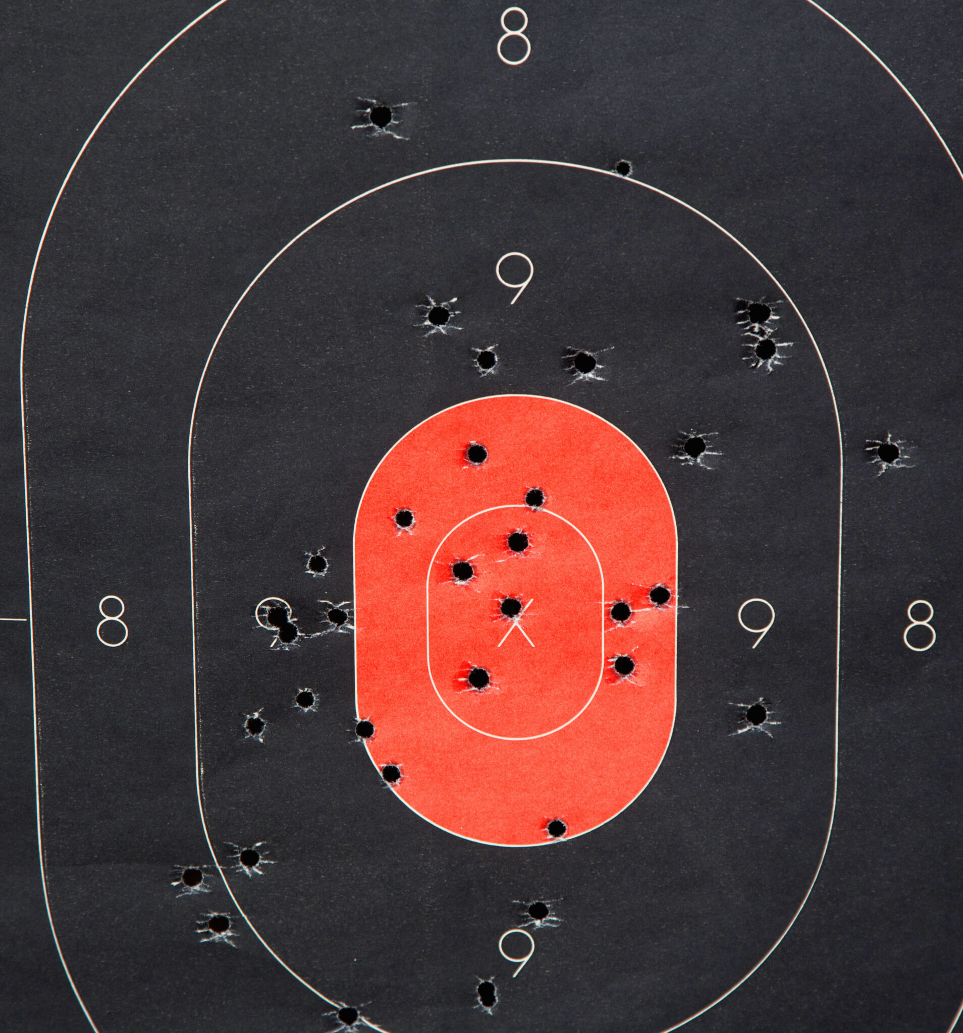 Understanding Rifle Targets, the Types and Their Use in Sporting ...